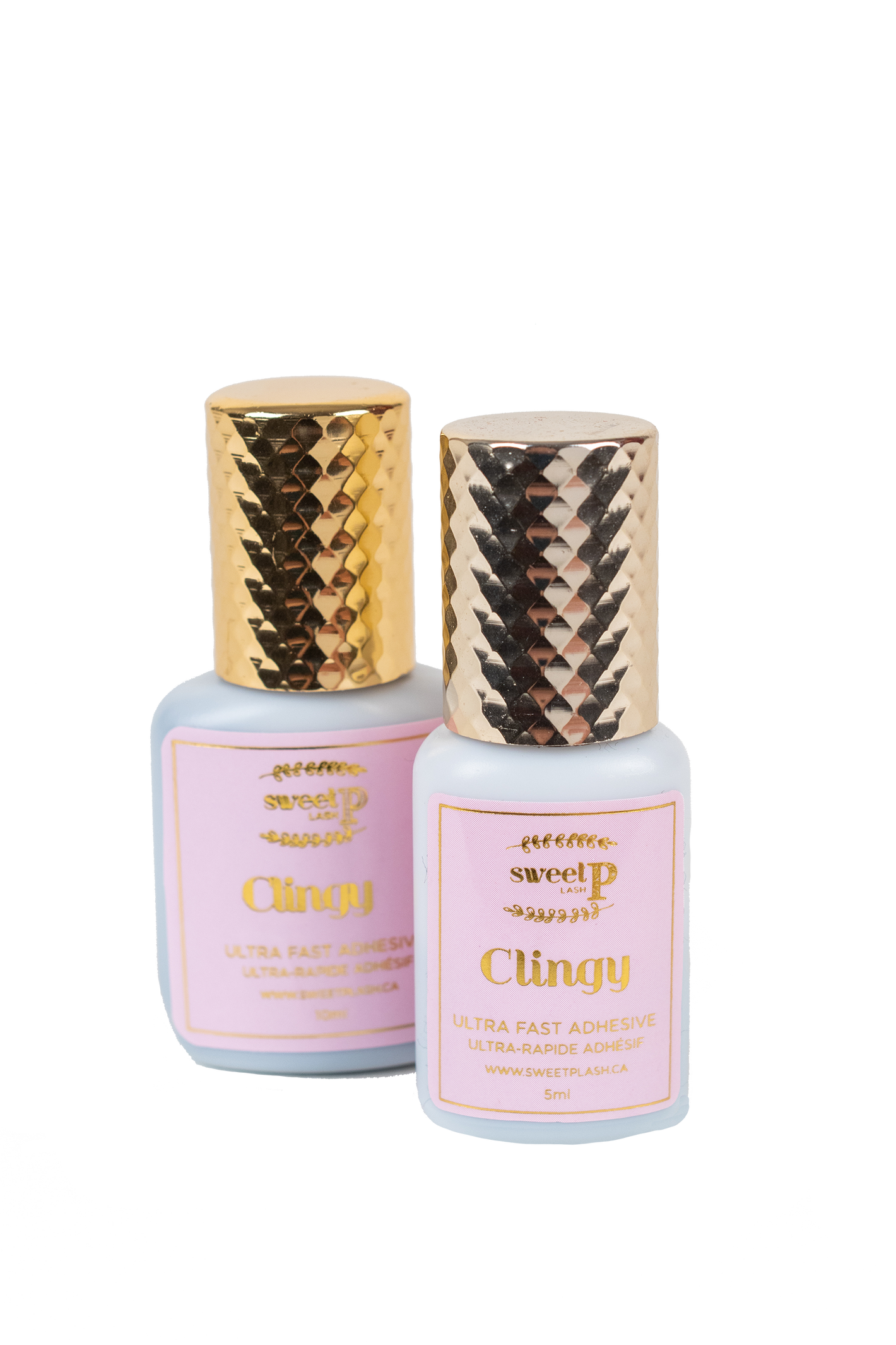 Sweet P Lashes and Training